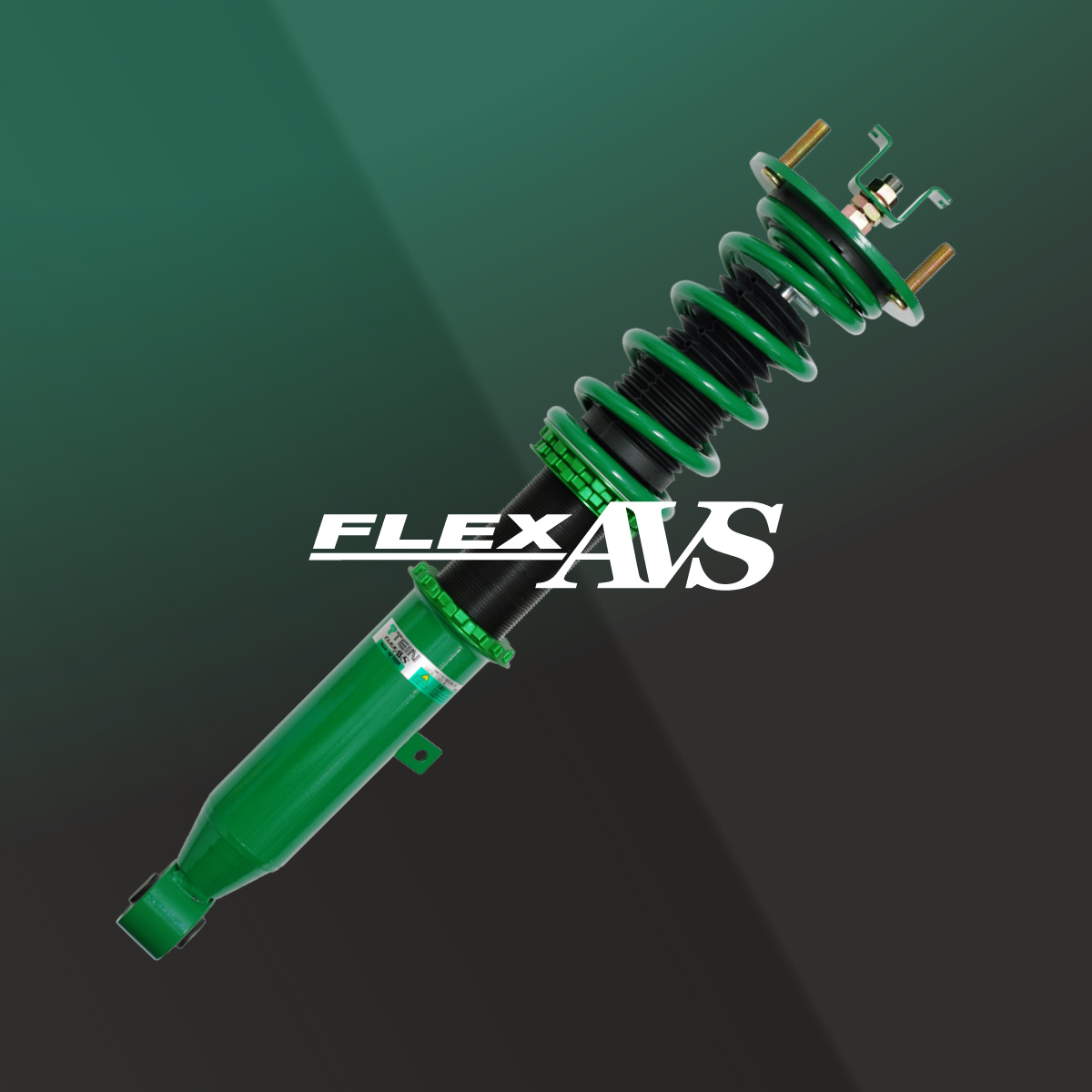 TEIN.co.jp: FLEX AVS - 製品紹介